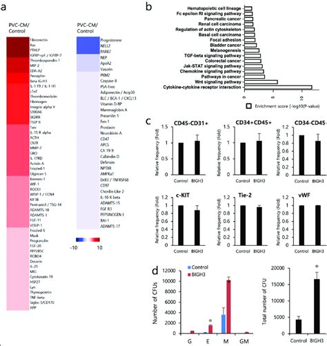 Protein Array Analysis Reveals The Secretion Of Ecm Proteins Including Download Scientific