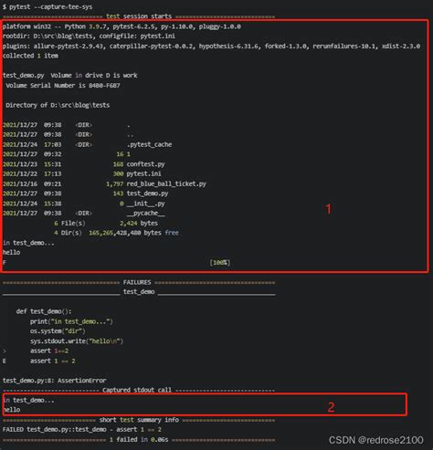 Pytest 如何使用 Capture参数设置实时打印及capture Log打印 Csdn社区