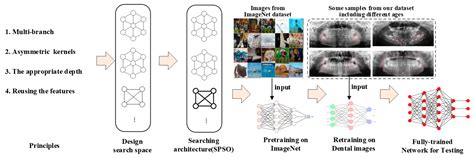 Leverage Effective Deep Learning Searching Method For Forensic Age Estimation