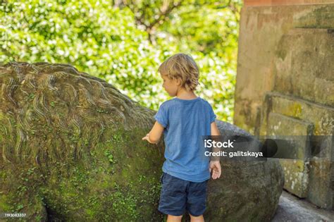 엄마와 아들 여행자 는 우붓 발리 인도네시아를 발견 어린이 콘셉트와 함께 여행하는 것 관광에 대한 스톡 사진 및 기타 이미지 관광 관광객 국가 관광명소 Istock