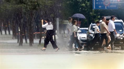 11호 태풍 야기 예상 경로와 12호 태풍 리피의 발생 가능성