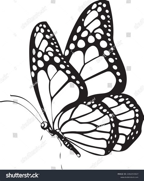 Black Butterfly Wall Art