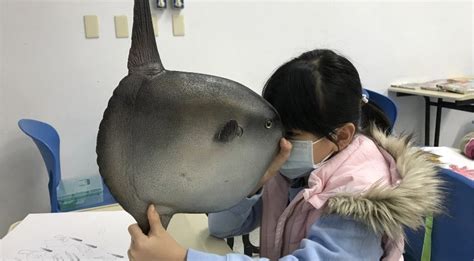 冬令營台灣生態教育推廣協會eye上大自然