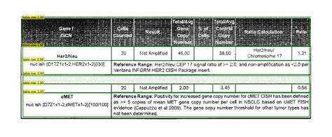 Colab Notebook Tsr Functional Analysis And Obtain Final Dataframe