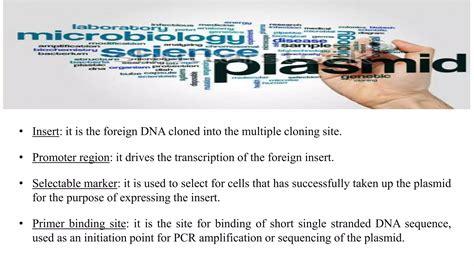 Plasmid PPTX