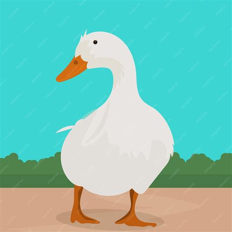 Premium Vector Cute Duck Vector Illustration