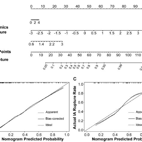 The Morphology Based Radiomics Signature Model Was Developed Into Download Scientific Diagram