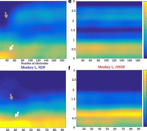 Contribution Of Rotational Modes To Decoding A Contribution Of Download Scientific Diagram