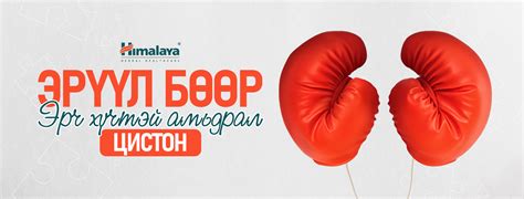 Гэр бүл ба Эрүүл мэнд ХҮҮХЭД ХЭР ИХ СҮҮ УУХ НЬ ЗОХИМЖТОЙ ВЭ АСУУЛТ