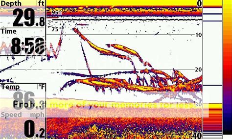 Sonar Porn Tons Of Humminbird Images Texas Fishing Forum