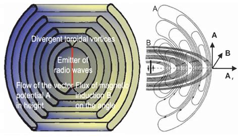 The Structure Of The Transverse Radio Waves Toroidal Vortex Flows Of Download Scientific