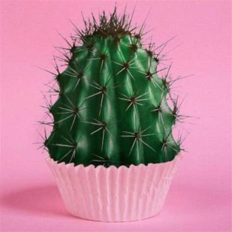 Чудовий подаруночок це ти в красивій білизні ️ Ціна 850грн Арт 181 Бантик розв‘язується все