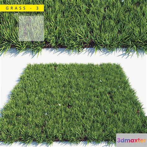 Grass 3 3dmaxter Grass 3 3dmaxter