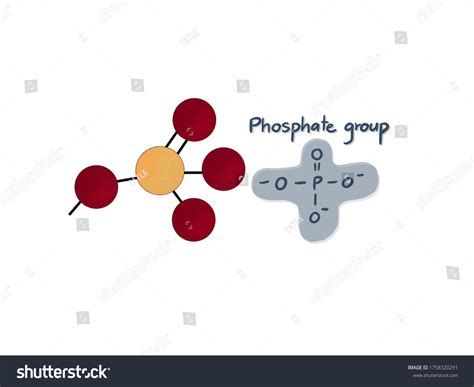 Phosphoryl Group Structure