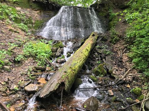 How To Use The New Live Photo Effects In IOS 11 Fstoppers