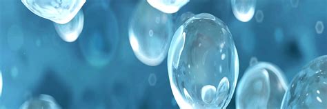 Optimize Your Htrf Cell Signaling Assays On Tissues Revvity