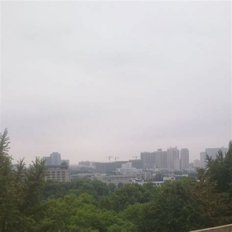 Yong Zhang Wuhan University Of Technology Wuhan Whut School Of Materials Science And