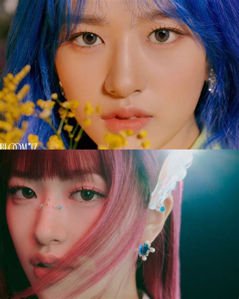 파란색 빨간색 연예인잡담 에펨코리아