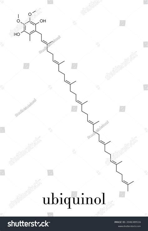 Ubiquinol Molecule Reduced Form Coenzyme Q10 Stock Vector Royalty Free