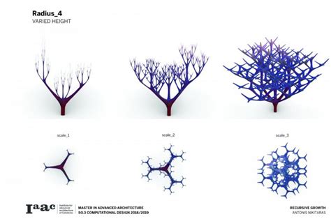 Recursive Growth Bifurcation Structures Conceived As Branching