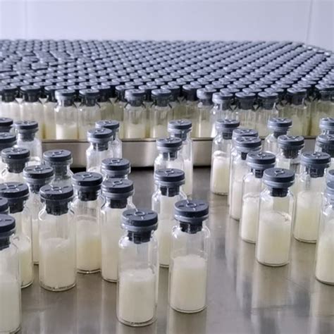 Freeze Drying Process Vekuma Freeze Dryers