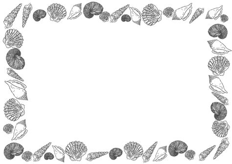 Download Shell Frame A4 Svg Freepngimg