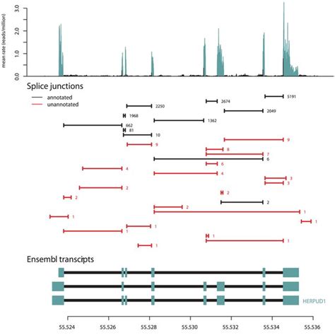 An Example Of Splice Junctions Identified In A Gene In The Top Panel