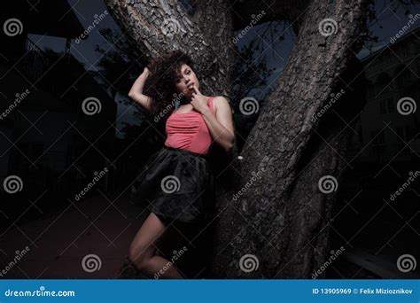 Woman By A Tree At Night Stock Image Image Of Color