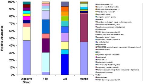 Relative Abundance Of The Top 10 Most Abundant Transcripts Within Each Download Scientific