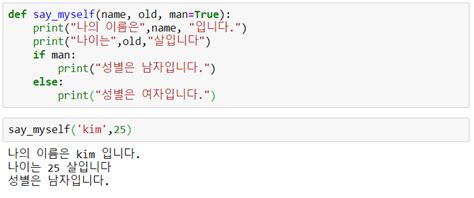 [python 기초] 06 함수 — beeimp