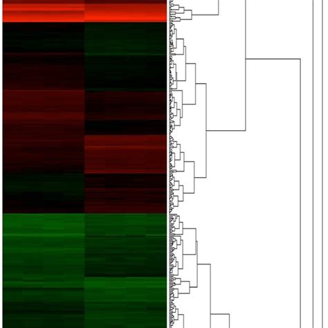 Microarray Analysis The Figure Shows A Heat Map Analysis Of Degs Oa Download Scientific