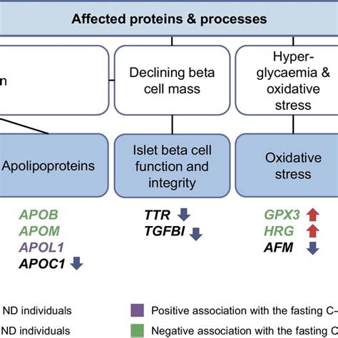 Pathways And Processes Highlighted By Targeted Serum Proteomics Download Scientific Diagram