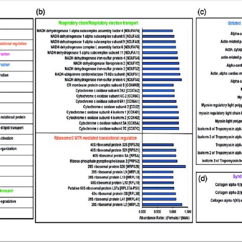 Enriched Canonical Pathways By Rna Seq And The Detection Of Different Download Scientific