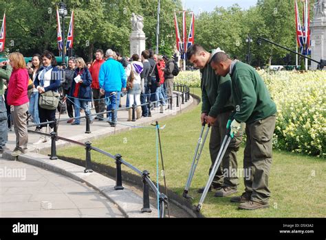 Gardeners Attending To The Lawn Outside Buckingham Palace Preparations The Royal Wedding Of