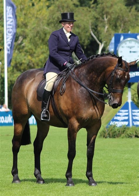 Hoofbeats On My Heart On Tumblr