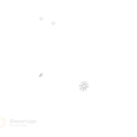 Eman El Feky On Linkedin Merry Christmas 🎄🎁