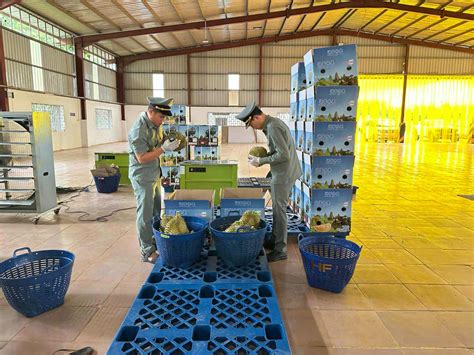 វិទ្យុន វិទ្យុនគរជុំ ខេត្តកំពង់ឆ្នាំង មិត្តក្នុងចិត្តអ្នក