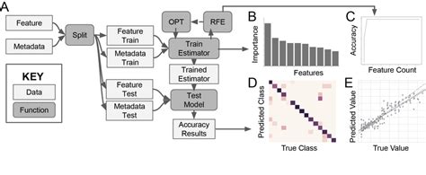 Workflow Schematic A And Output Data And Visualizations B E For Download Scientific Diagram