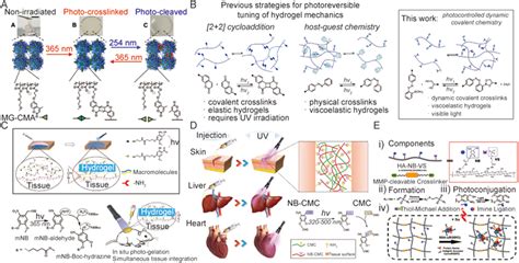 A Schematic Reversible Stiffness Regulation Based On Dynamic