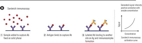 Figure 1 From Hormone Immunoassay Interference A 2021 Update Semantic Scholar