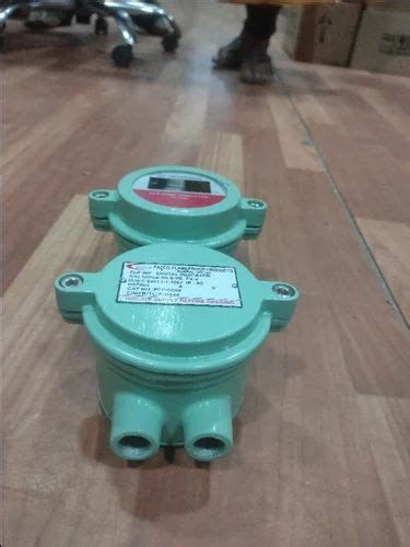 FLP Temperature Indicator At 1975 Piece Wall Mounted Temperature Indicator In Vadodara ID