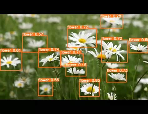 i trained a flower detection model using roboflow mahesh uppula posted on the topic linkedin