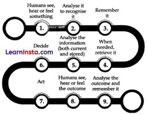 Introduction To AI Class 10 Notes Introduction To AI Class 10 Notes