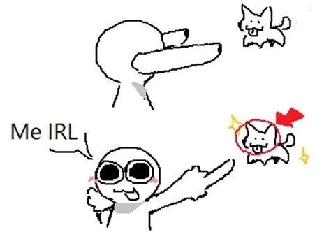 Daily Reaction Images