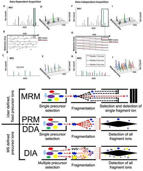 Discovery And Targeted Proteomics Services Vproteomics