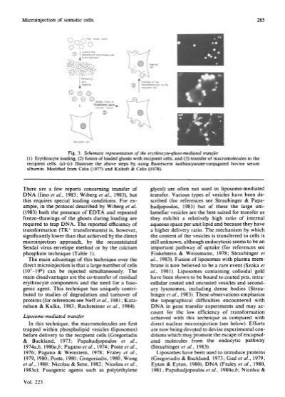 284 Fig 2 Intranuclear