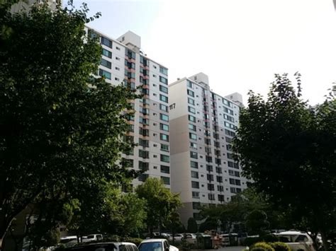 야탑장미마을장미코오롱아파트장미동부아파트 네이버 블로그