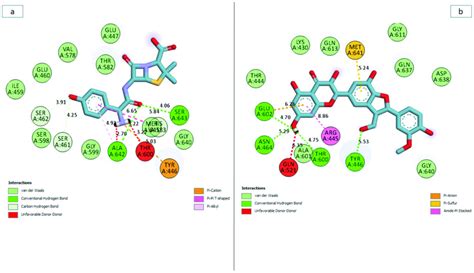 Plot Of Interactions Of Amoxicillin A And Silicristin B Against The Download Scientific