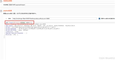 Ctf Hub Ssrf通关攻略ctf Hub Csdn博客 Ctf Hub Ssrf通关攻略ctf Hub Csdn博客