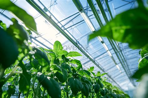 지능형 온도 제어 창고